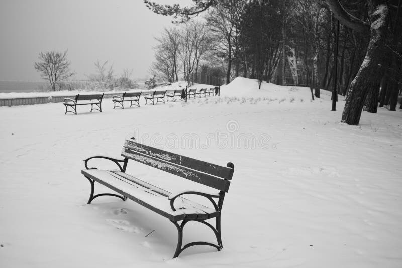Benches in the Winter Scenery. Stock Image - Image of travel, baltic ...