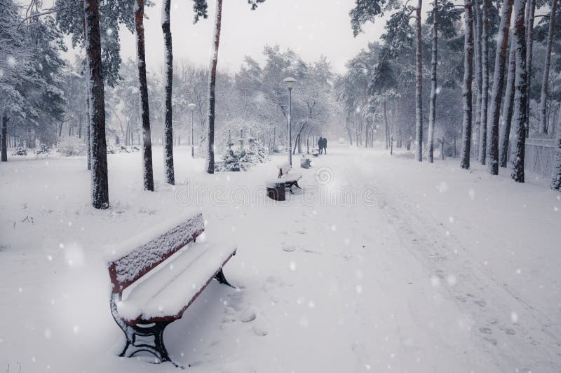 Benches in Winter Snowy Park Stock Image - Image of beautiful, december ...