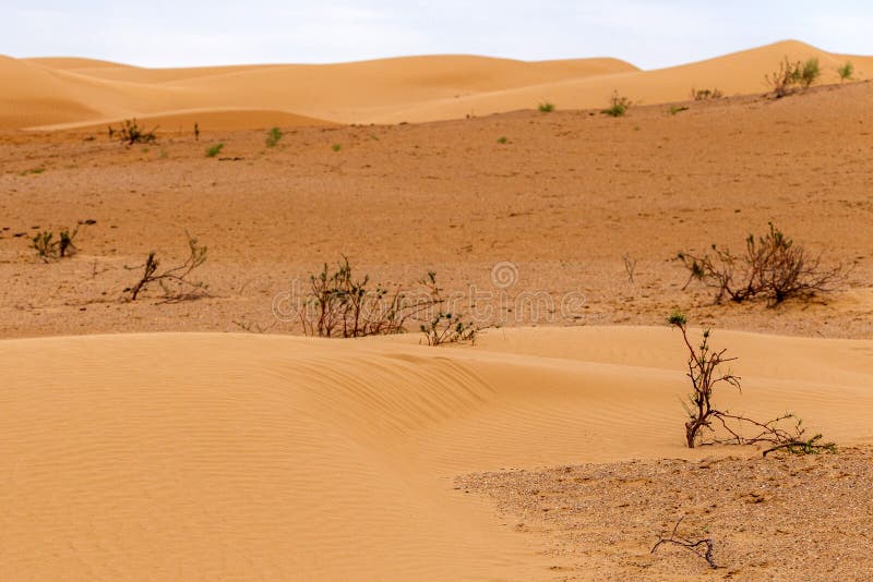 The Ridge of Sand Dune stock image. Image of mountain - 29140607