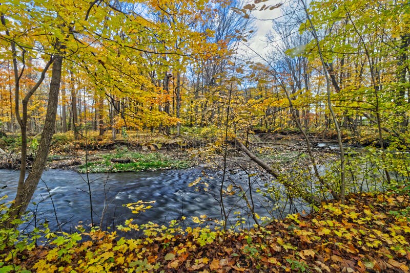 The Bend in the River Decorated by the Golden Leaves - Fall in Central ...