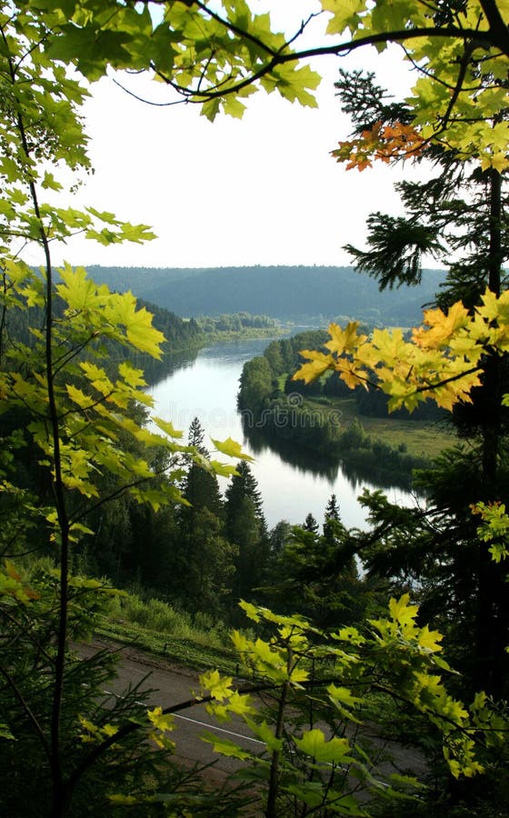 Bend in the River, Framed by Maple Leaves Stock Photo - Image of angle ...