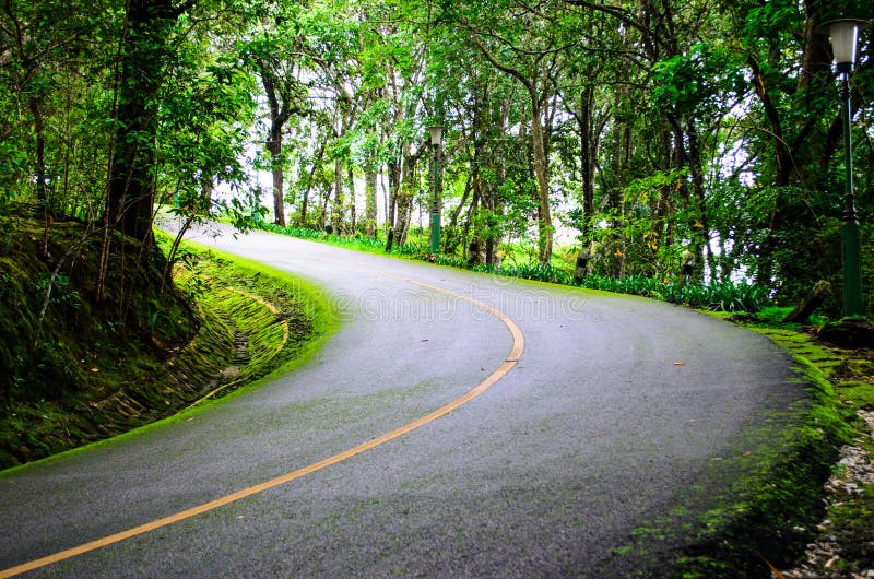 Bend in the Road stock photo. Image of bend, outdoors - 43095372