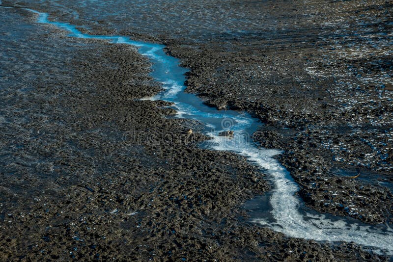 Bend of the stream stock image. Image of future, quarantine - 252868515