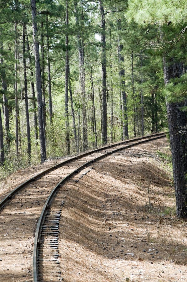 Bend in the tracks stock image. Image of tree, pine, stones - 8762037