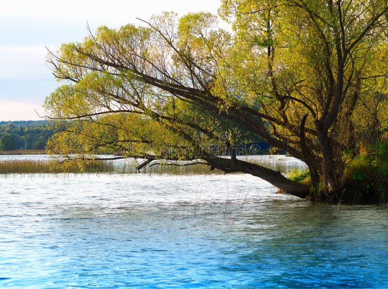 Bended Autumn River Near the River Beach Background Stock Photo - Image ...