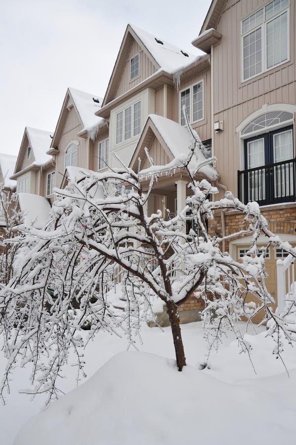 Bended tree branches stock image. Image of frost, outdoor - 46490283