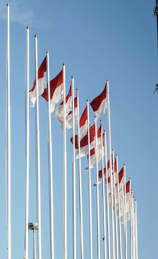 Indonesian Flag stock photo. Image of putih, indonesia - 262375354