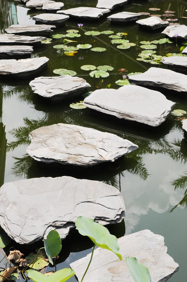 Stepping stones stock image. Image of greenery, lush, step - 3060241