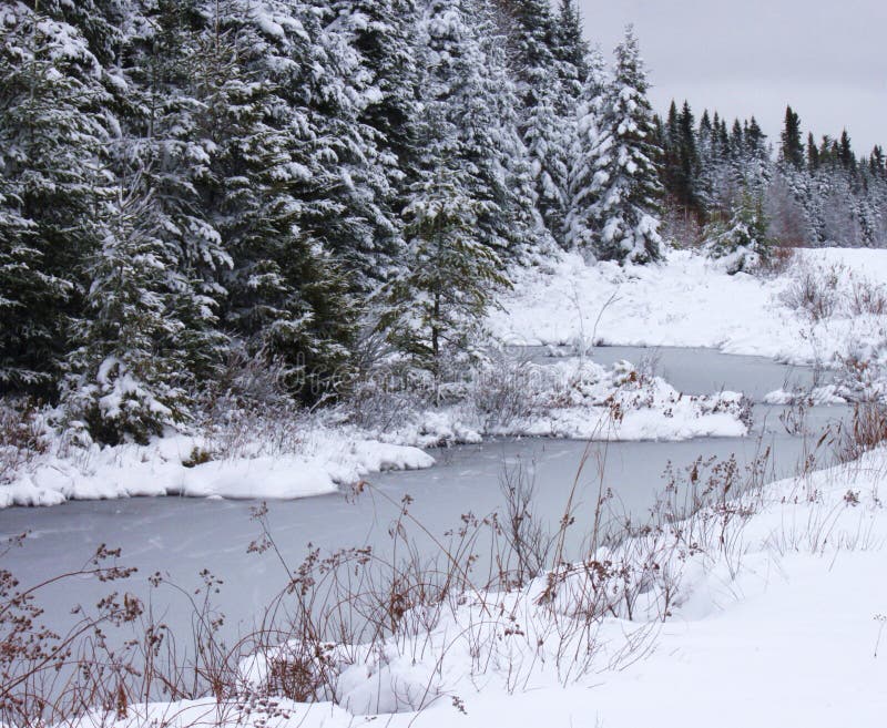 Bending,winters,stream stock image. Image of bend, beauty - 63368683
