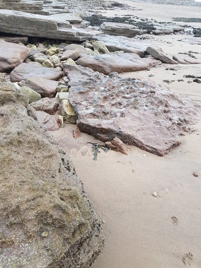 Bendricks stock image. Image of beach, back, time, beautiful - 114690325