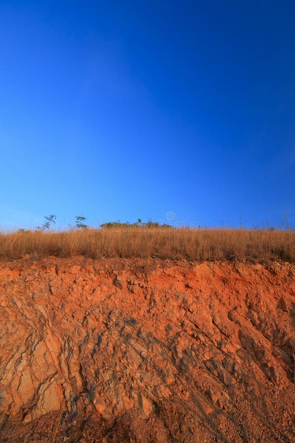 Beneath the asphalt. stock photo. Image of plants, roads - 21799798