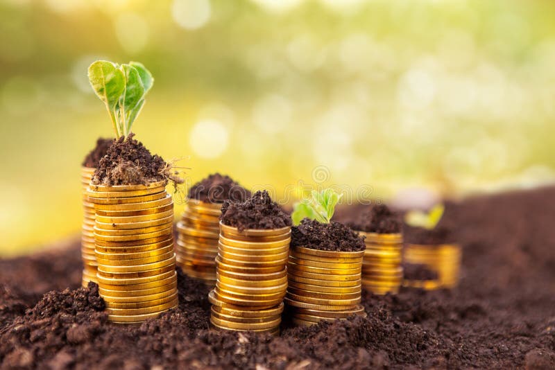 The Beneficial Effect for Savings Stock Photo - Image of garden ...