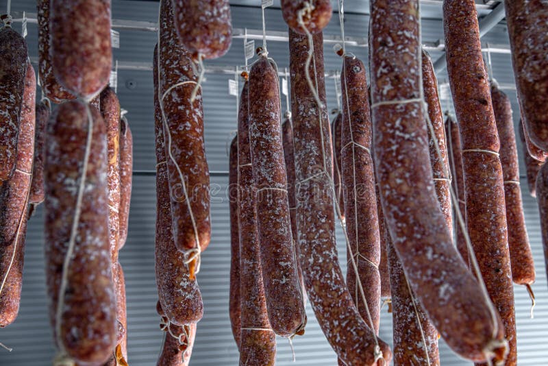 Beneficial Mold Growth on the Salami I Stock Photo - Image of tasty ...