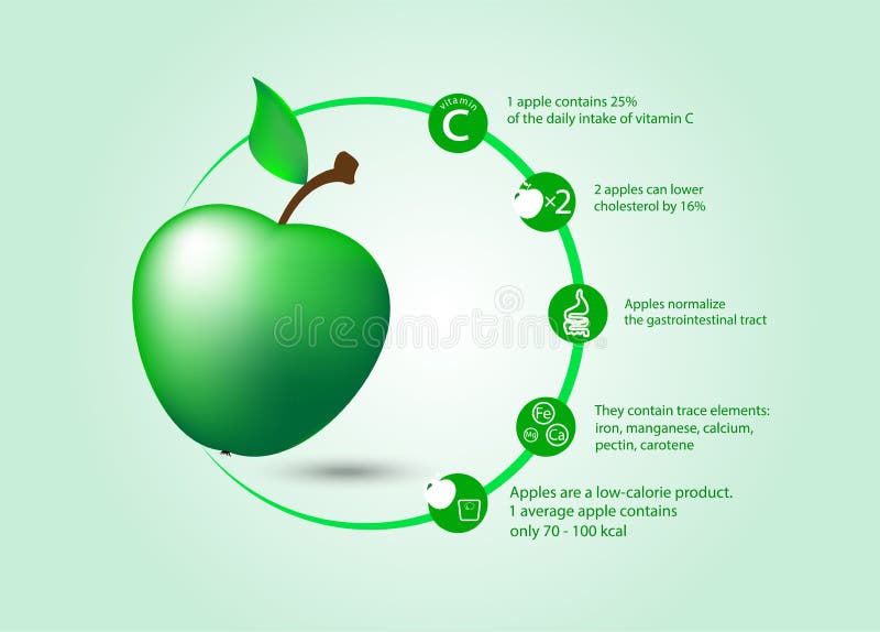The Benefits of the Apple To the Human Body Stock Vector - Illustration ...
