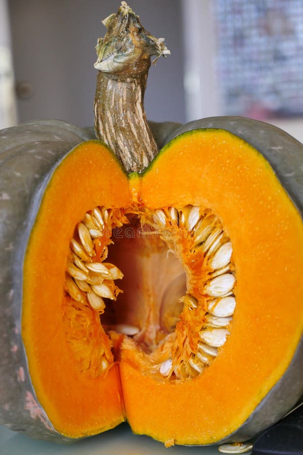 The Benefits of Fresh Orange-colored Pumpkin, Human Health and the ...