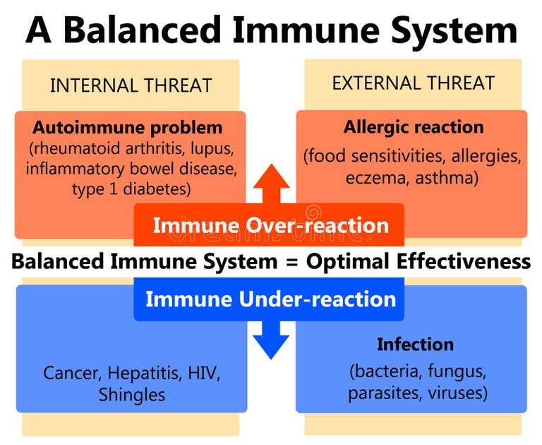 Balanced Immune System Stock Illustrations – 1,184 Balanced Immune ...