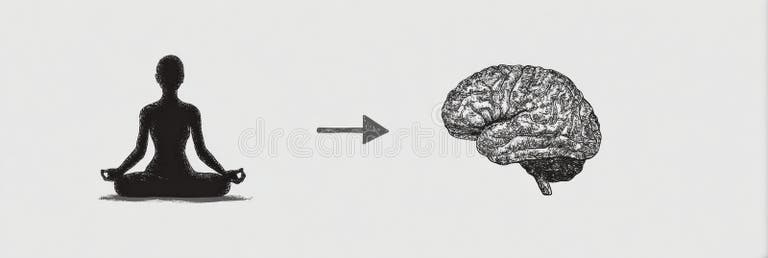 Benefits of Meditation on Brain Activity Highlighting Changes before ...
