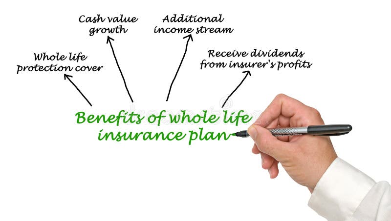 Benefits of Whole Life Insurance Plan Stock Illustration - Illustration ...