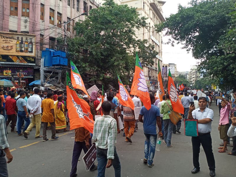 Bengal BJP Protest, People with Flags and Banners in the Street ...