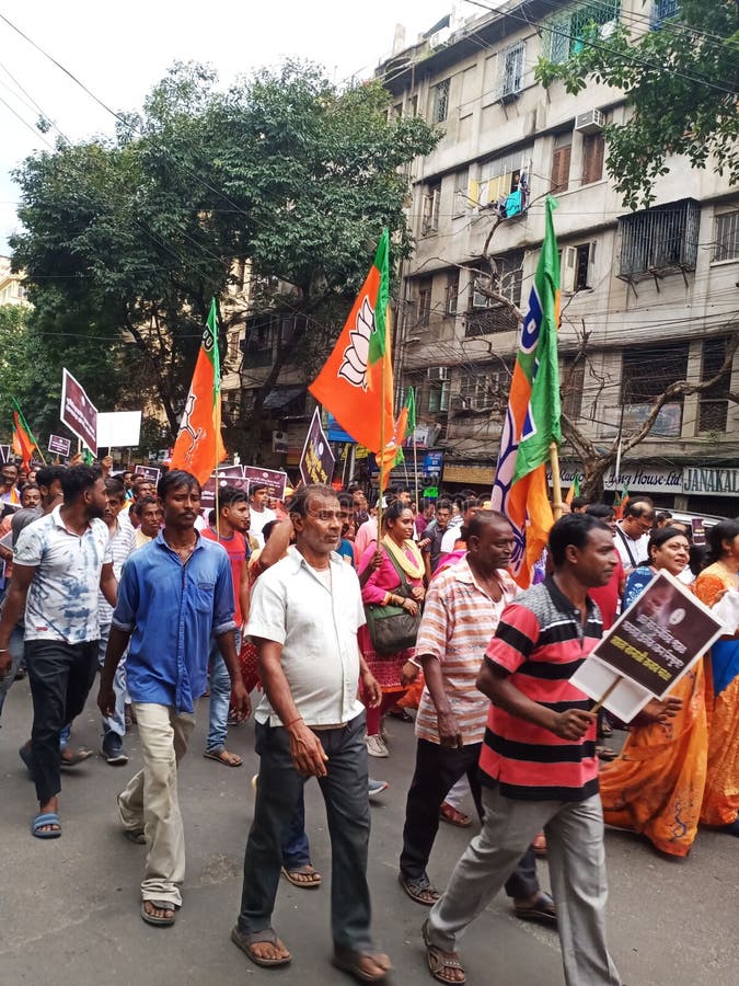 Bengal BJP Protest, People with Flags and Posters in the Street ...
