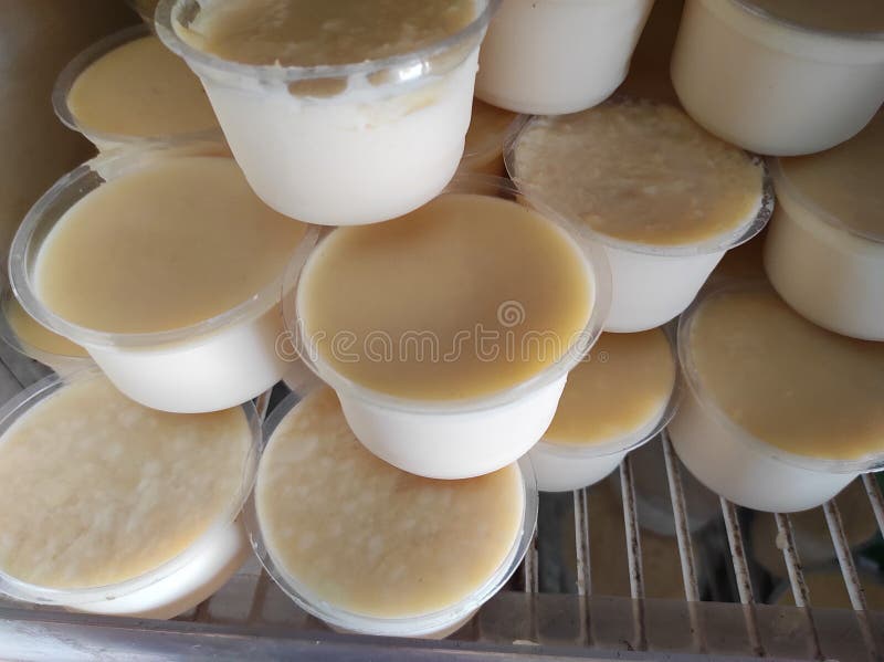 Bengal`s Famous Yogurt `mishti Doi` is Kept in Some Plastic Cup Stock ...