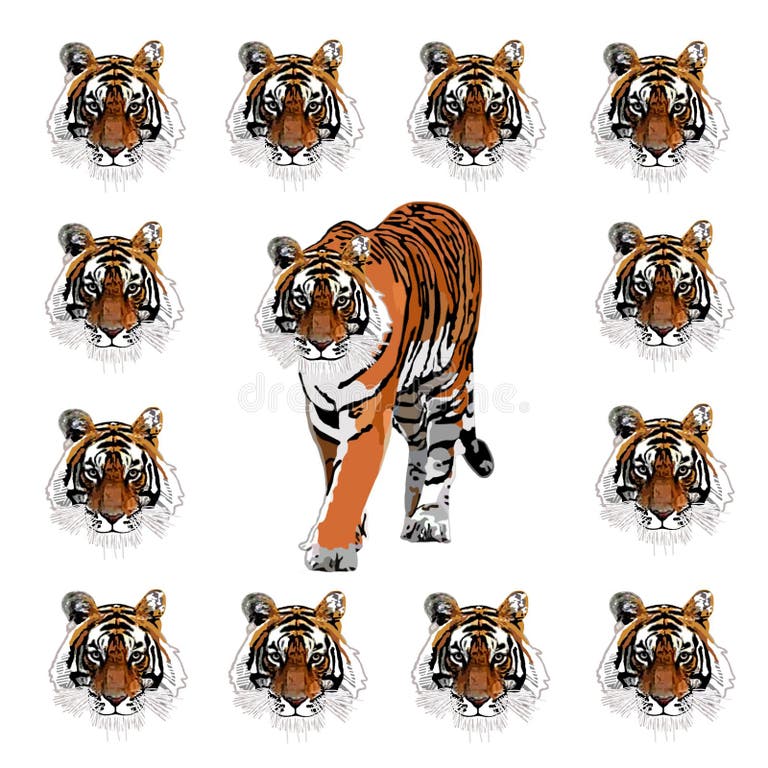 Tiger Border Stock Illustrations – 8,777 Tiger Border Stock ...