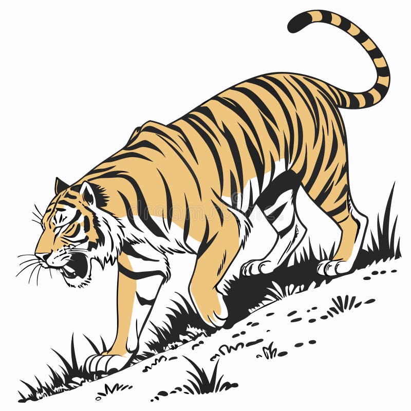 Bengal Tiger, Full Body Realistic Image, Vector Artwork Stock ...