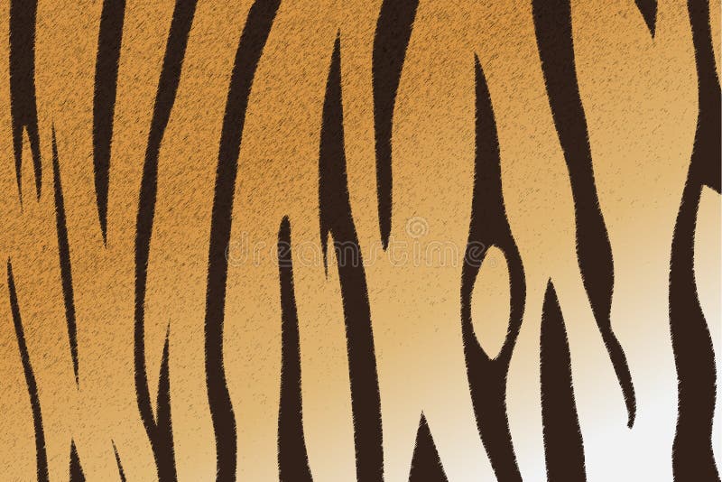 Bengal Tiger Stripe Pattern Stock Illustration - Illustration of ...
