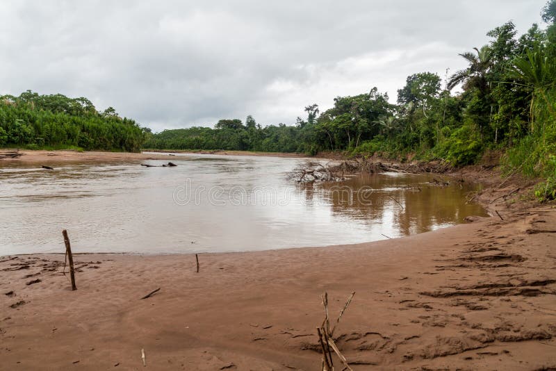 Beni river stock image. Image of outdoor, mountain, forest - 131850627