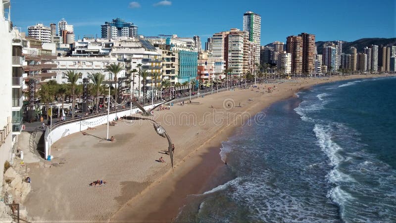2 Benidorm Birds Having Fun at the Beach Editorial Stock Photo - Image ...