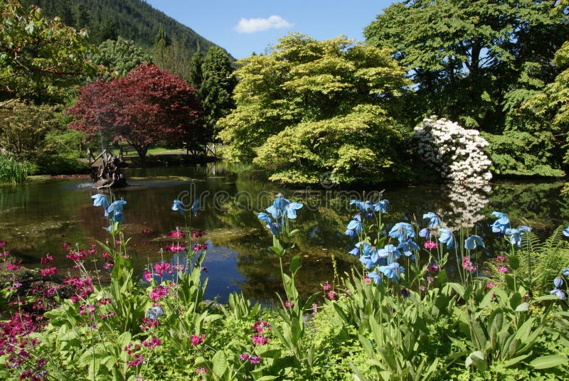 Benmore Botanic Gardens stock photo. Image of scenic - 13071182