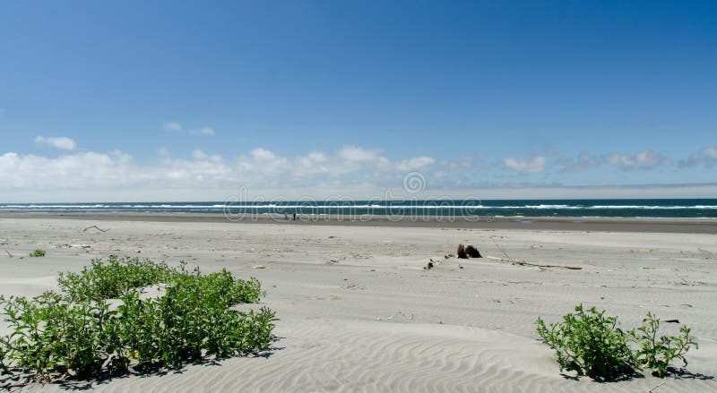 Empty Benson Beach Cape Disappointment State Park, Washington Stock ...