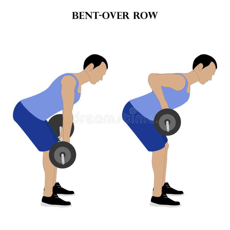 Dumbbell Bent Over Row Exercise Stock Vector - Illustration of dieting ...