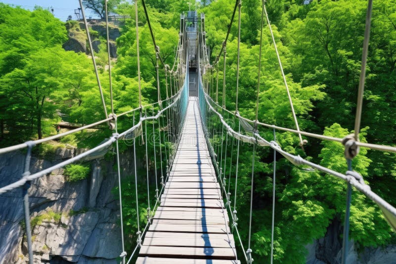 A dangling bridge stock image. Image of river, dangling - 115551857