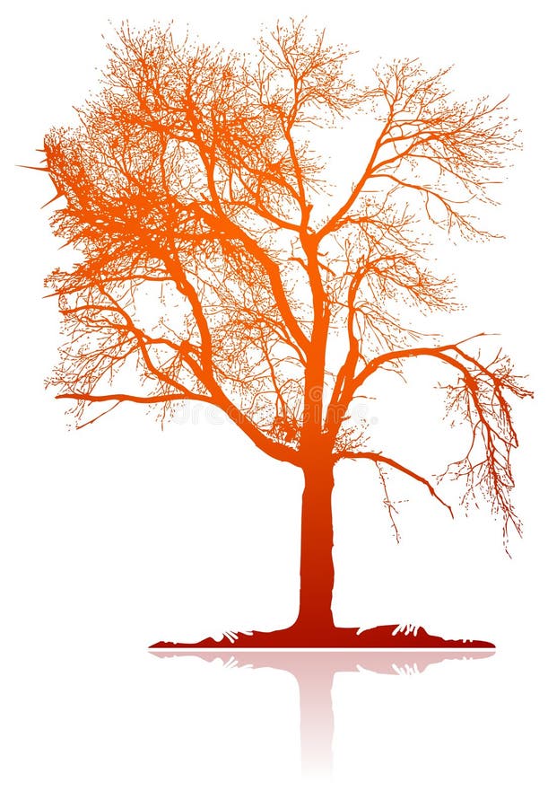 Bent Tree Stock Illustrations – 886 Bent Tree Stock Illustrations ...