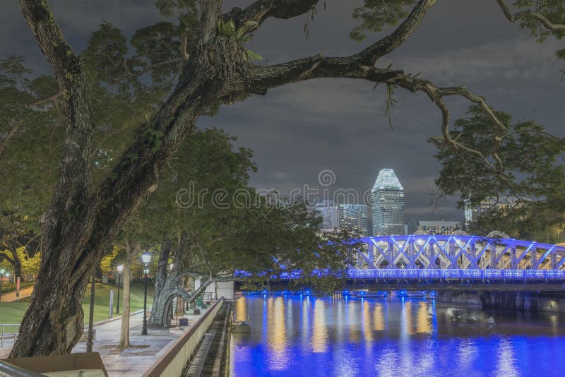 Night elm tree stock image. Image of park, nature, branch - 27794189
