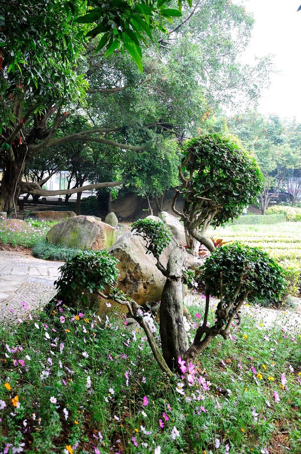 The bent tree stock image. Image of bent, green, china - 52125951
