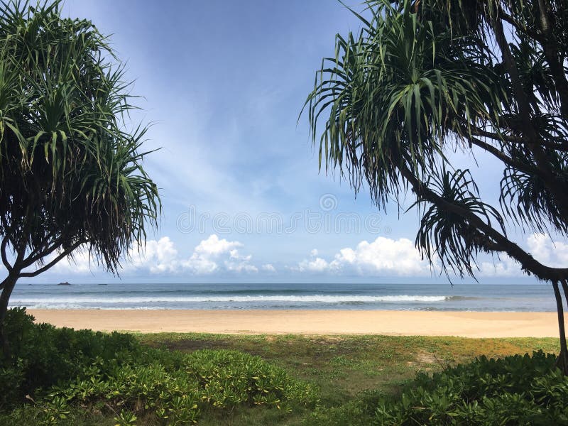 Bentota beach stock photo. Image of nature, wave, holiday - 73825614