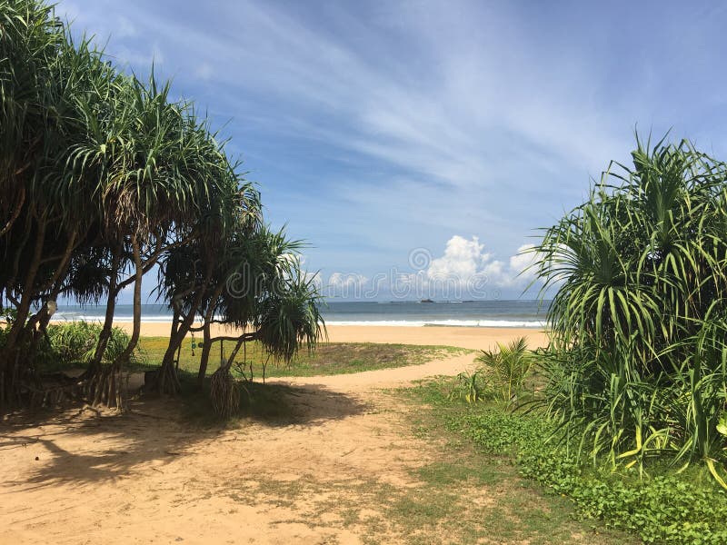 Bentota beach stock photo. Image of bentota, path, beach - 73826458