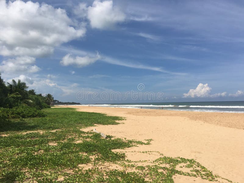 Bentota beach stock photo. Image of relax, grass, beach - 73858174
