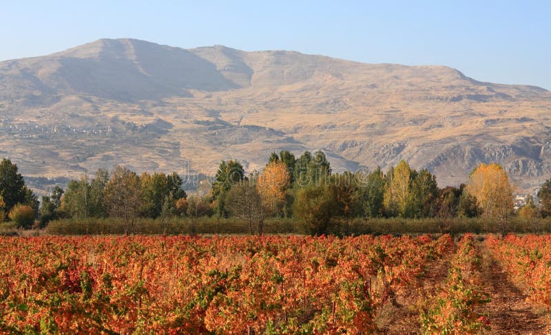 Panoramic View of Beqaa (Bekaa) Valley, Baalbeck in Lebanon Stock Photo ...