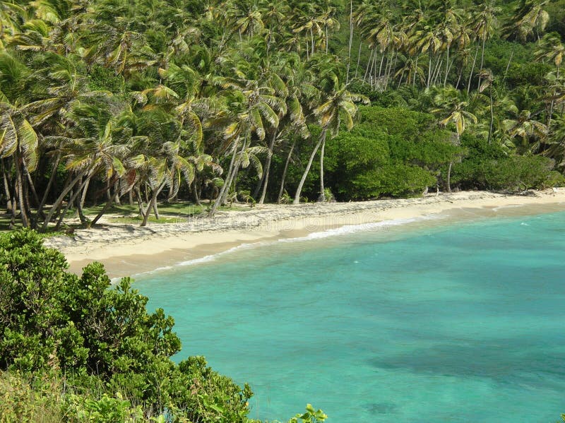 Bequia Beach stock photo. Image of landscape, coast, color - 15412636