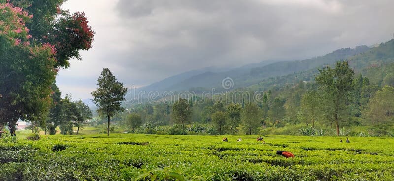 Alam Bebas Stock Photos - Free & Royalty-Free Stock Photos from Dreamstime