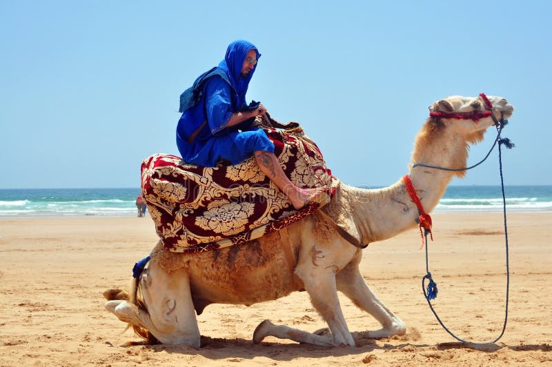 Berber on camel stock photo. Image of africa, dromedary - 58711024