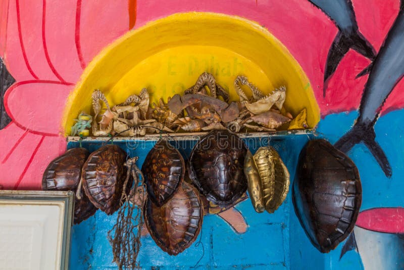 BERBERA, SOMALILAND - APRIL 13, 2019: Fish Jaws and Turtle Shells in a ...