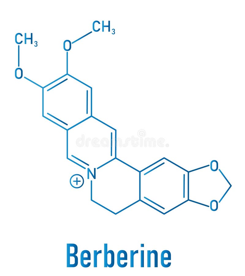 Berberine Herbal Medicine Molecule. Skeletal Formula Stock Vector ...