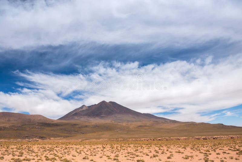 Boliviaanse Woestijn En Het Stomen Van Geisers Stock Afbeelding - Image ...