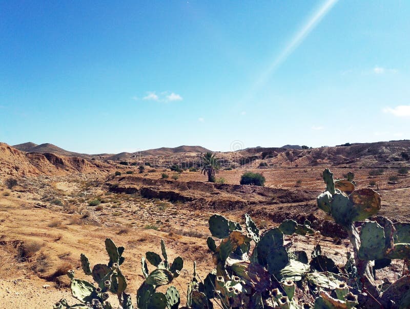 De Mexicaanse Landschappen Van De Woestijn Stock Foto - Afbeelding ...