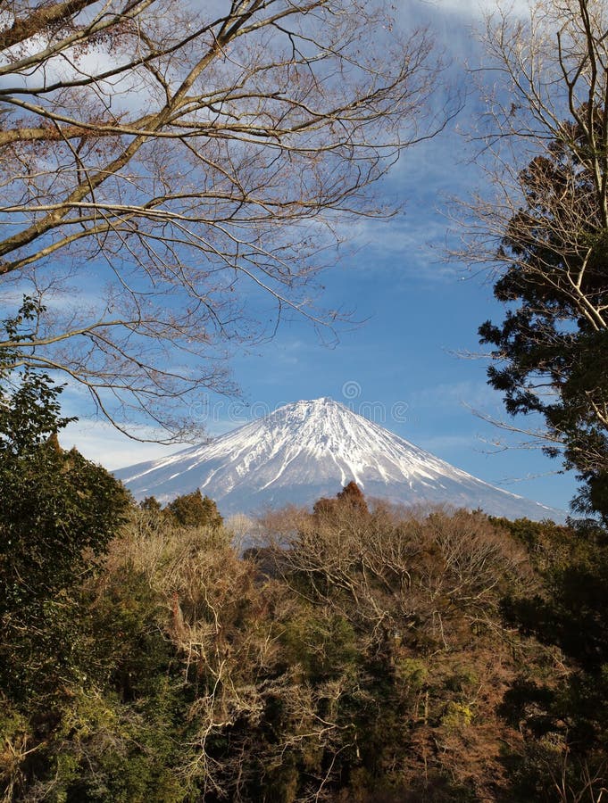 Mt Fuji stockbild. Bild von wolke, bauernhof, japanisch - 4587591