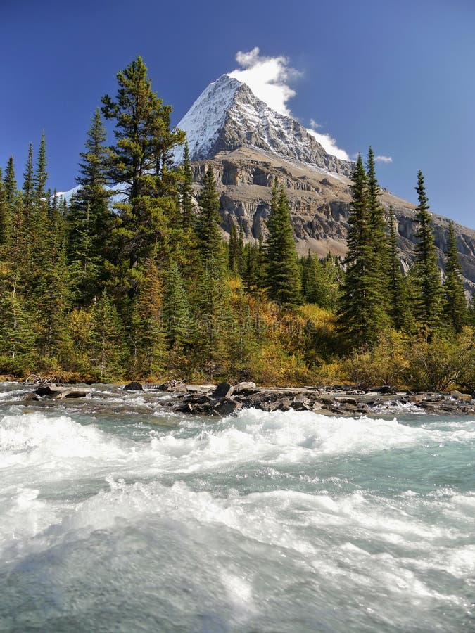 Berg Mit Gletscher Und Wildem Fluss Stockfoto - Bild von robson ...